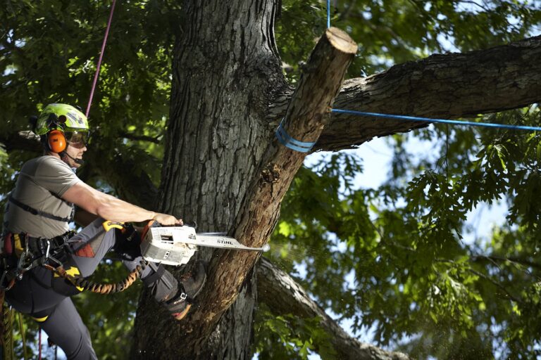 Tree Care & Arborist Supplies - Vermeer Southeast