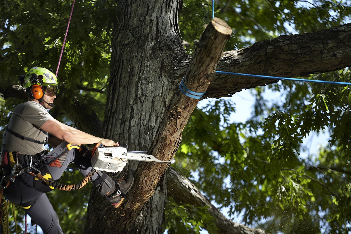 Training Events - Vermeer Southeast